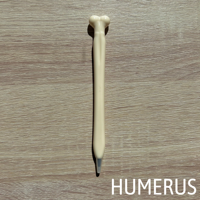 Assorted Bone Pens – Flash-Med SA